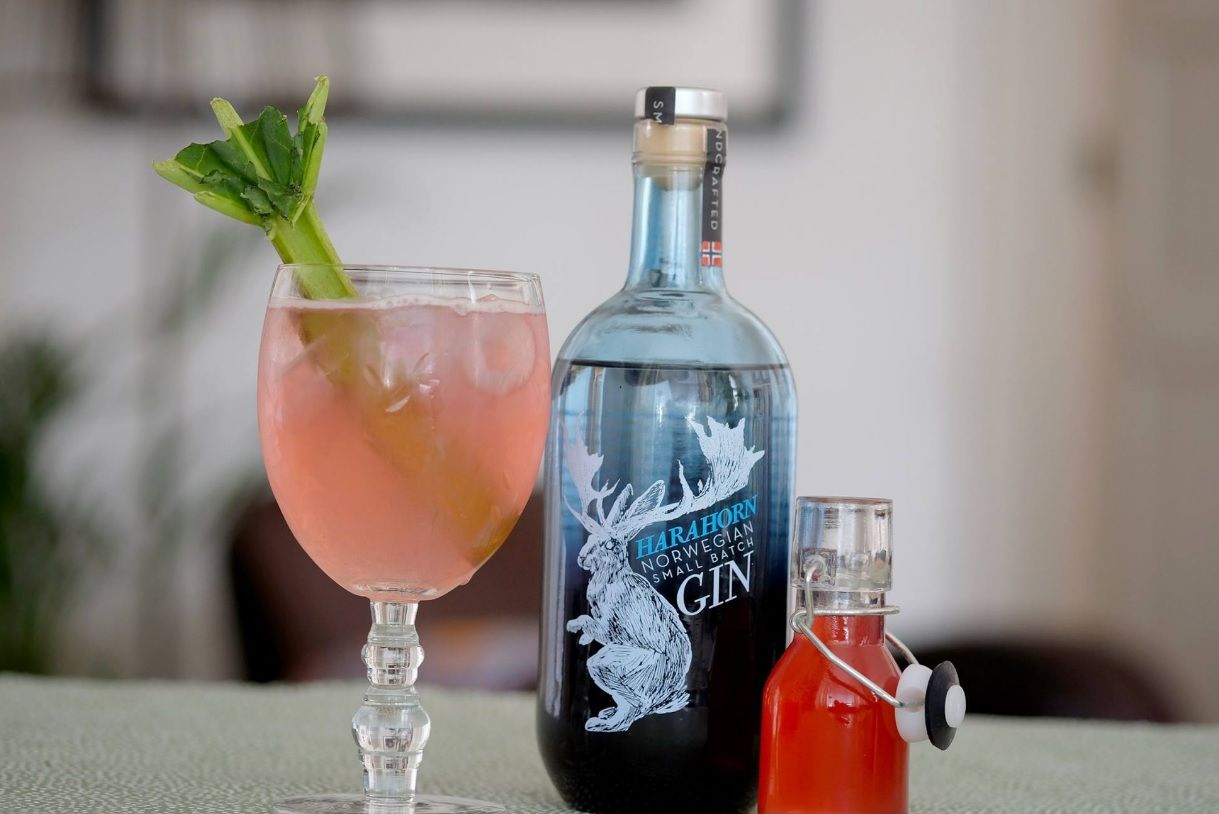 Harahorn Dry Gin aus Norwegen im Test & Tasting mit passendem Tonic